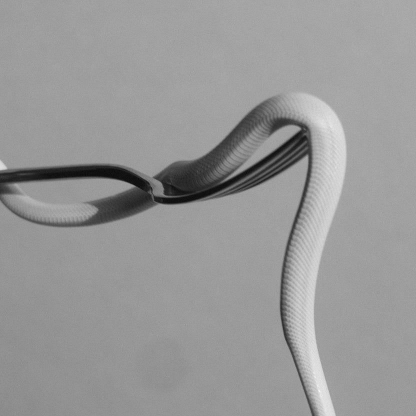 New Album Parrhesia – Animals as Leaders